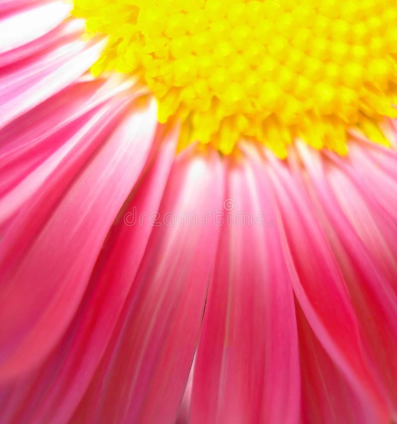 Auszug stockbild. Bild von vermindert, unschärfe, kabel - 3801911