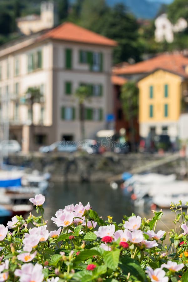 Blumen Durch Den Como See, Italien Stockfoto - Bild von architektur ...