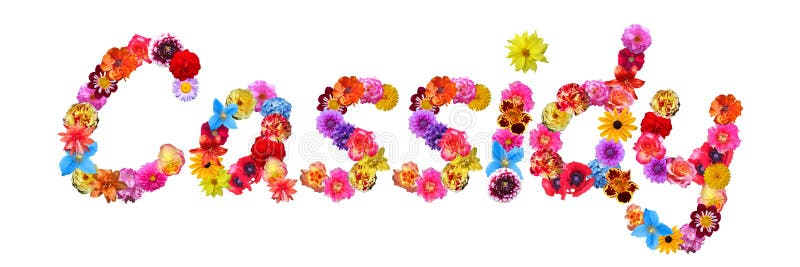 Blumen Name Cassidy Stock Abbildung Illustration Von Anpassen 85441536
