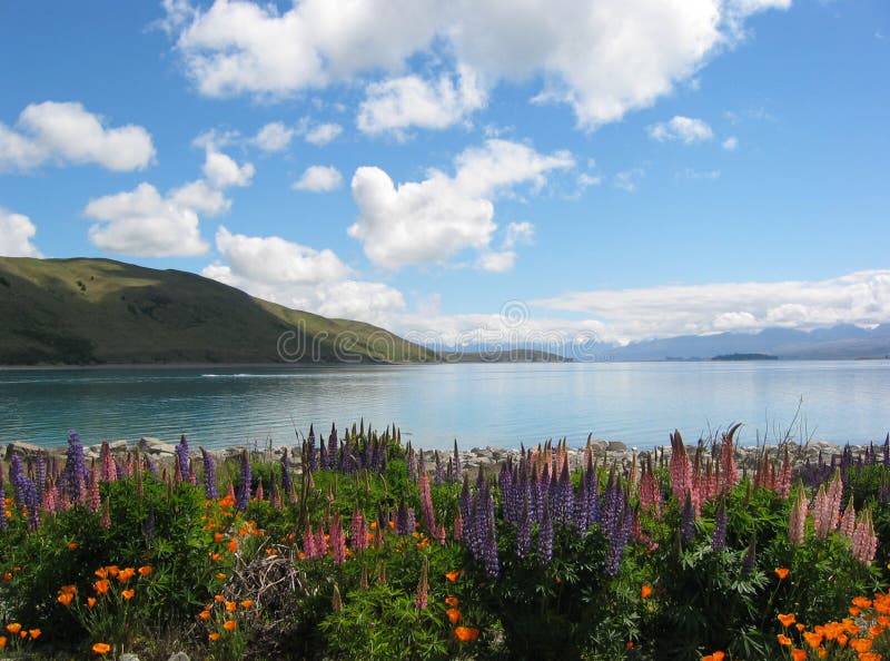 Blumen am Seeufer in Montreux Bei Nacht Stockbild - Bild von schön ...