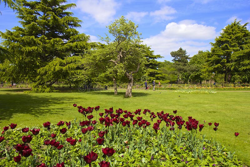 Blumengarten in Greenwich-Park, London Redaktionelles Stockbild - Bild ...