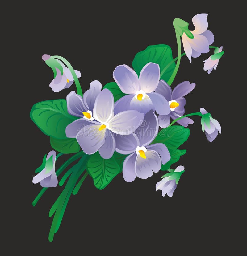 Der Veilchen Stock Illustrationen, Vektoren, & Kliparts - 2,221 Stock ...