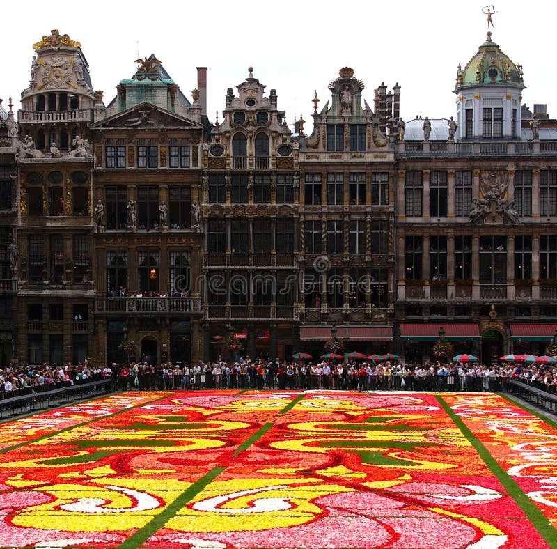 Blumenteppich in Brussles redaktionelles bild. Bild von stadt - 6101035