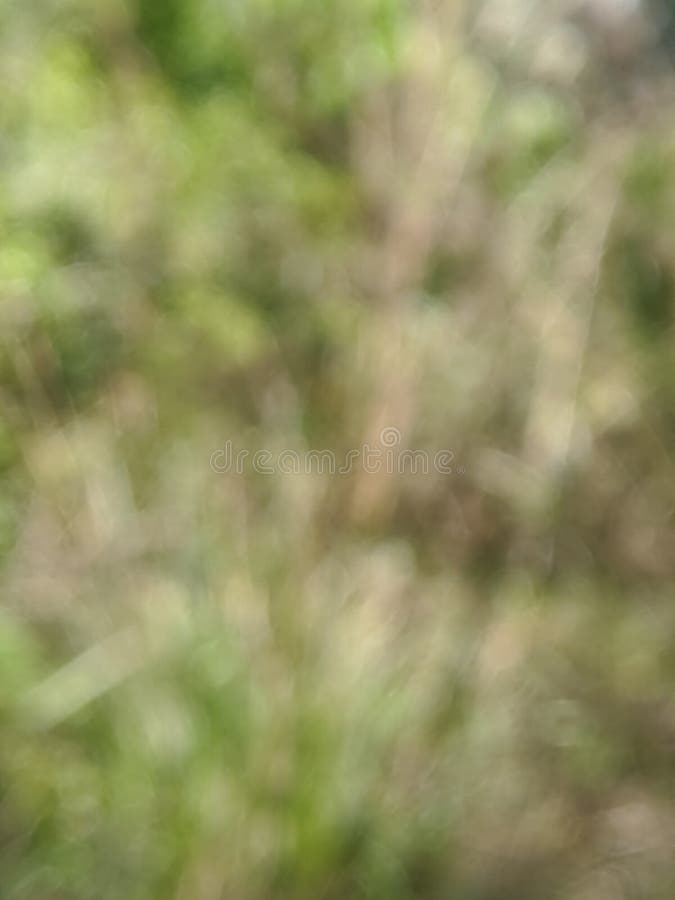 Blur Abstract Background of Nature Environment Concept Stock Photo ...