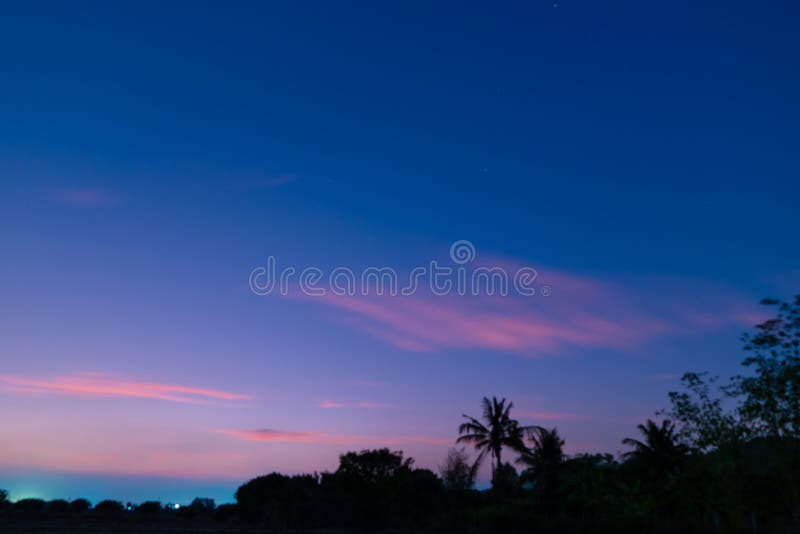 Blur Abstract Background Stars Moving Slowly Twilight Darkness Tree ...