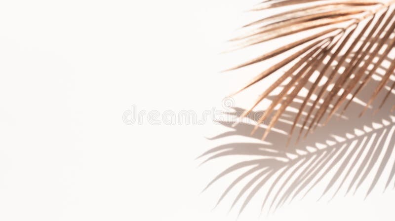 Blur Abstract Coconut Leaf with Gold Color Stock Image - Image of ...