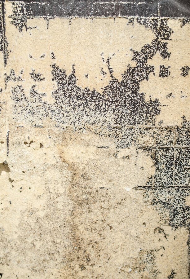 1,150 Rotten Paper Stock Photos - Free & Royalty-Free Stock Photos from ...