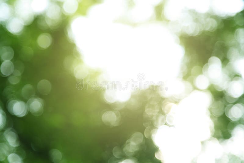 Background from Tree and Sky Stock Photo - Image of design, botanical ...
