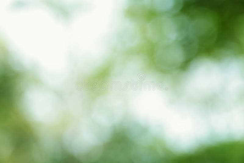 Background from Tree and Sky Stock Photo - Image of design, botanical ...