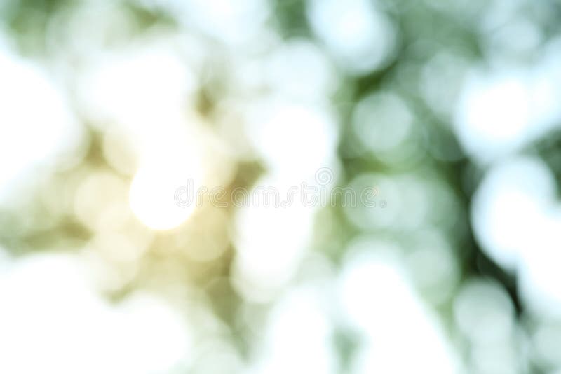 Background from Tree and Sky Stock Photo - Image of design, botanical ...