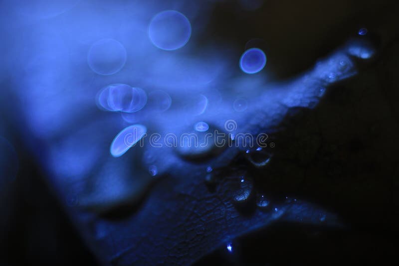 Blur Background with Water Drops Stock Photo - Image of blurred ...
