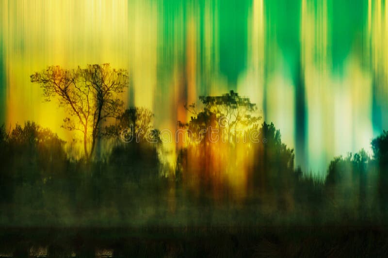 Tree Saturated Fall Season Yellow Panoramic Pic Stock Image - Image of ...