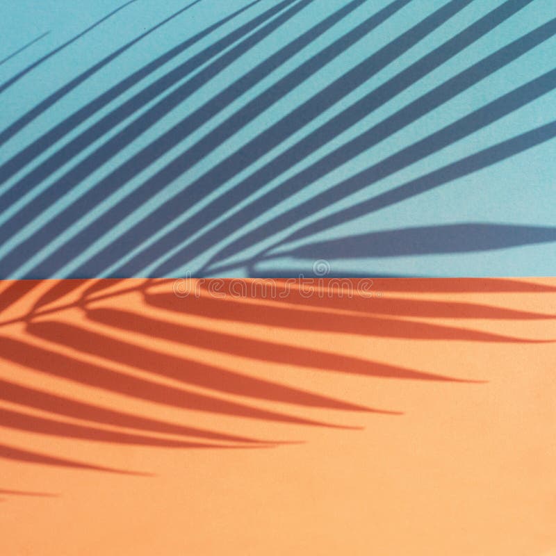 Blur of Exotic Shadow Tropical Leaf in Color Background.abstract Leaves ...