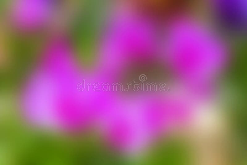 Blur flower background stock photo. Image of abstract - 44656578