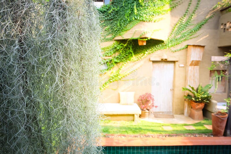 Blur Front View for Vintage Resort Hotel Stock Image - Image of ...