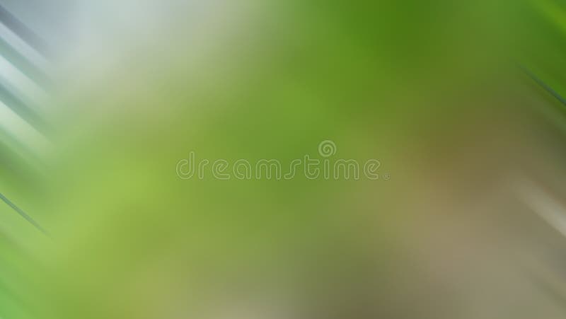 Blur Green Gradation Abstract Background. Soft Blurry Green Color ...