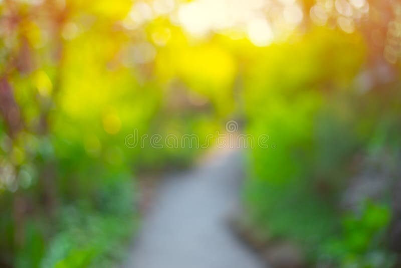 Blur Green Nature Abstract for Background Stock Image - Image of grass ...