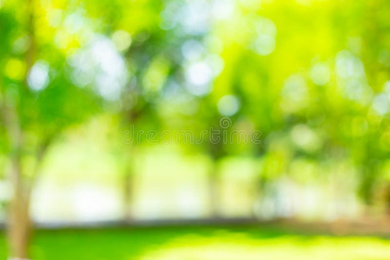51,167 Blur Tree Leaf Abstract Stock Photos - Free & Royalty-Free Stock ...