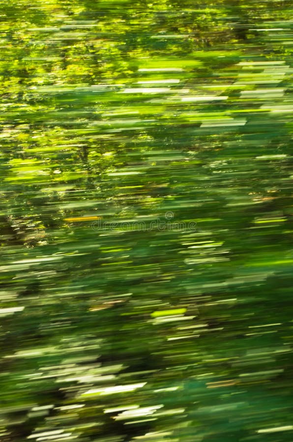 Blur of Greenery while Running Fast through the Forest, Semenic ...