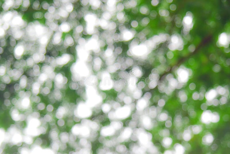 Blur Image of Green Tree on Blue Sky Stock Image - Image of light ...