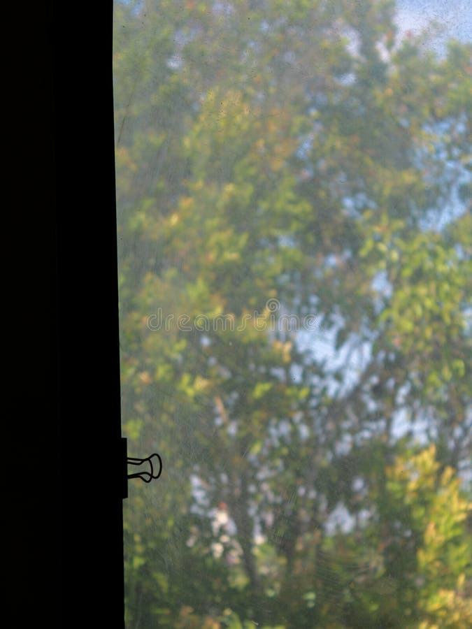 Blur Leaves on Tree View from Window Stock Image - Image of calm, bokeh: 342571235