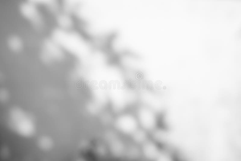 Blur Overlay Shadow Leaves Background Stock Image - Image of interior ... Blur Overlay Shadow Leaves Background Stock Image - Image of interior ...