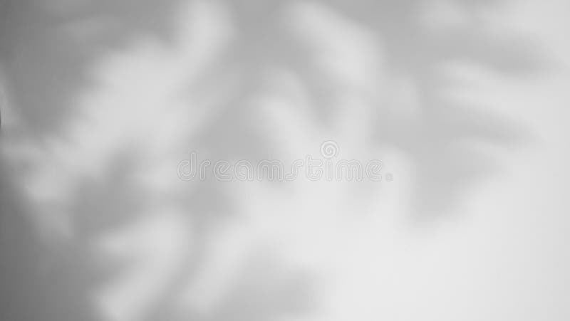 Blur Overlay Shadow Leaves Background Stock Image - Image of ground ... Blur Overlay Shadow Leaves Background Stock Image - Image of ground ...