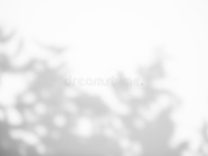 Blur Overlay Shadow Leaves Background Stock Photo - Image of material ... Blur Overlay Shadow Leaves Background Stock Photo - Image of material ...