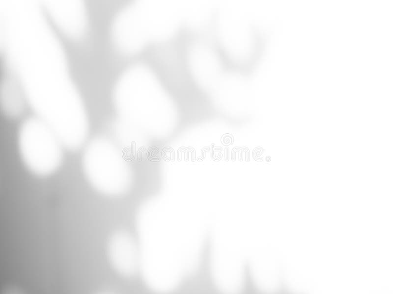Blur Overlay Shadow Leaves Background Stock Photo - Image of background ... Blur Overlay Shadow Leaves Background Stock Photo - Image of background ...