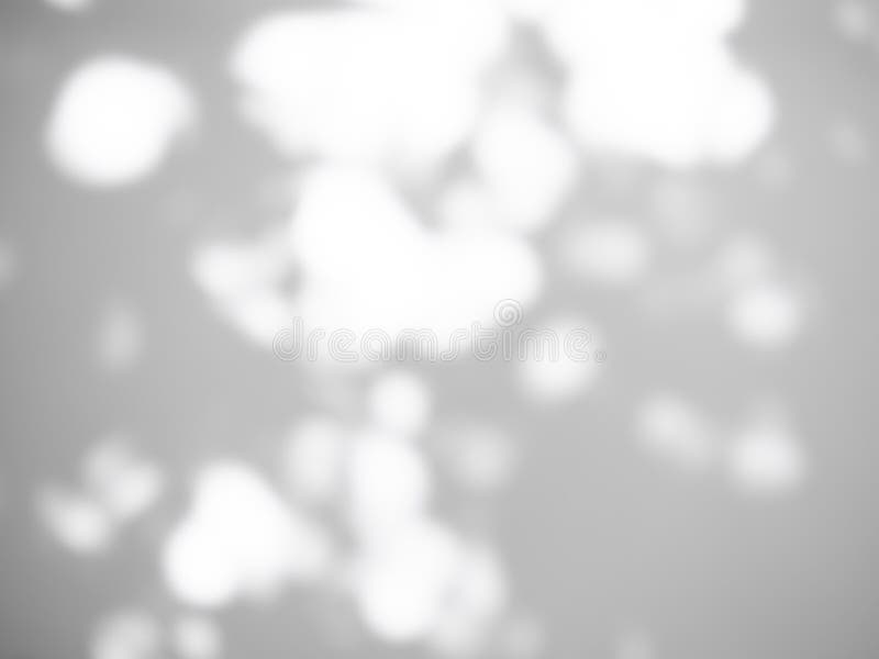Blur Overlay Shadow Leaves Background Stock Photo - Image of ground ... Blur Overlay Shadow Leaves Background Stock Photo - Image of ground ...