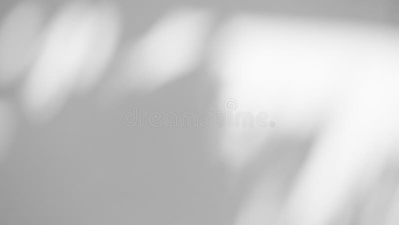 Blur Overlay Shadow Leaves Background Stock Image - Image of gray ... Blur Overlay Shadow Leaves Background Stock Image - Image of gray ...