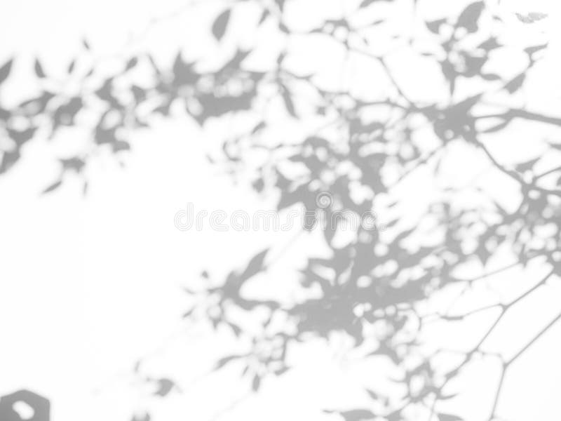 Blur Overlay Shadow Leaves Background Stock Image - Image of backdrop ... Blur Overlay Shadow Leaves Background Stock Image - Image of backdrop ...