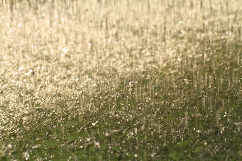 Blur rain stock image. Image of fall, drops, summer, water - 44981371