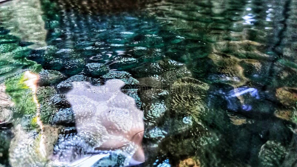 Blur River Stone Texture Patern Stock Photo - Image of sunlight ...