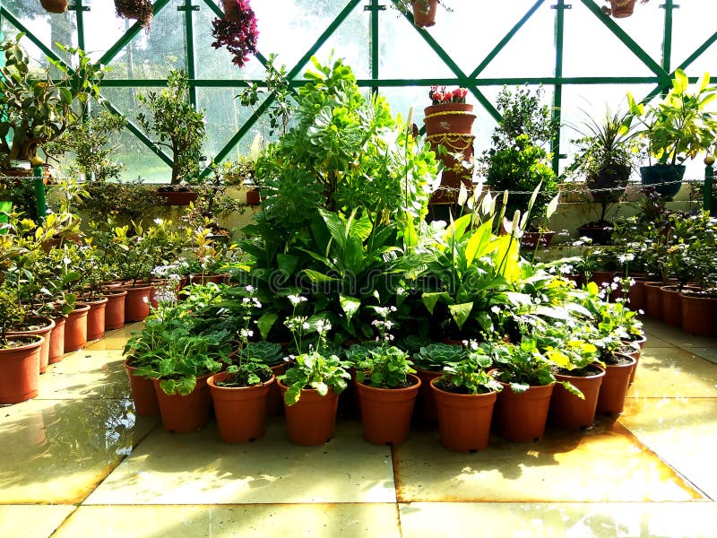 Stacked Flower Pots stock image. Image of beginnings, yellow - 6622695