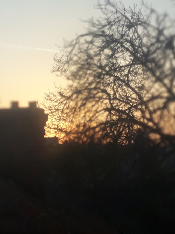 Blur sunset tree house sky stock image. Image of tree - 142798261