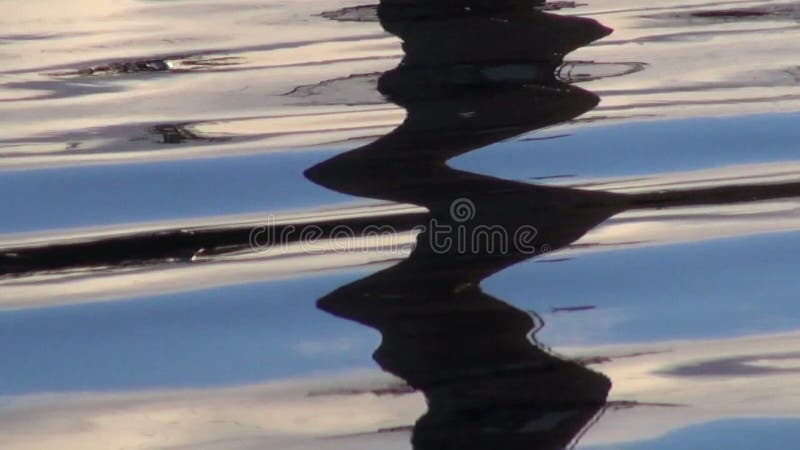 Blur Tree Shadow and River Background Stock Video Footage - Video of ...