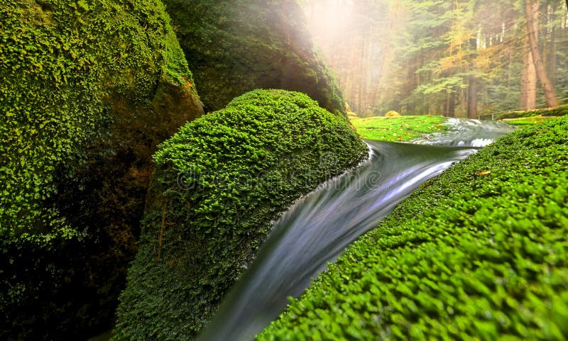 Blur of Waterfall in Sunny Forest Stock Image - Image of vegetation ...