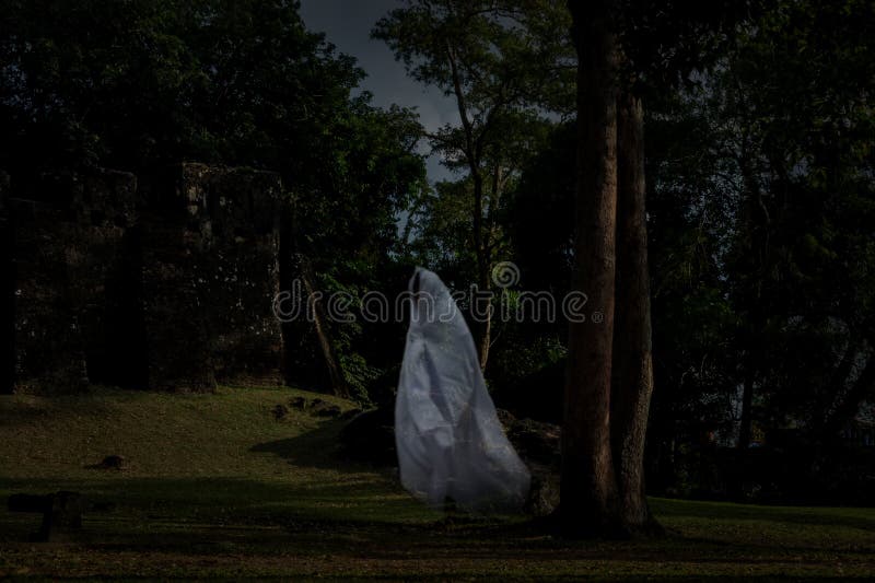 A Blur White Ghost Under Big Tree in Ancient Forest Stock Photo - Image ...