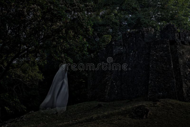 A Blur White Ghost Under Big Tree in Ancient Forest Stock Photo - Image ...