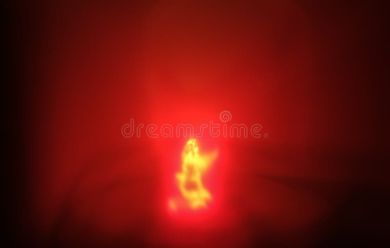 The Flame Angel Fish. stock photo. Image of tail, animal - 15332176