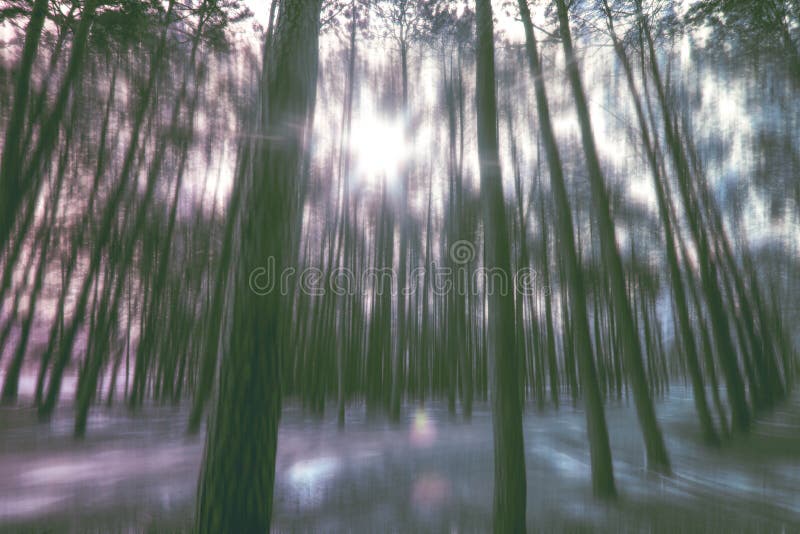 Blurred Abstract Background Photo of Forest with Surreal Motion Stock ...