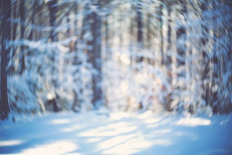 Blurred Abstract Winter Forest Background Stock Photo - Image of color ...