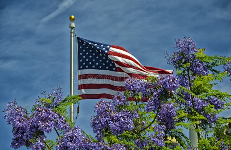 Blurred American Flag and Garland on Wooden Table Stock Photo - Image ...