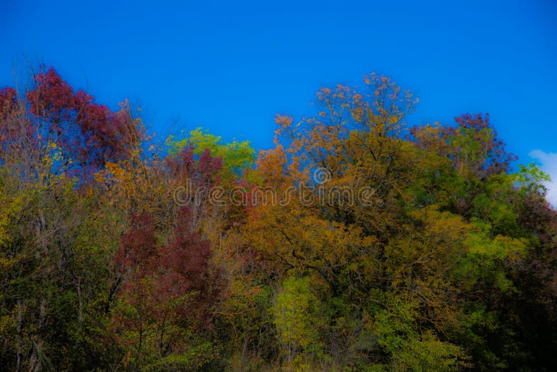 Blurred Autumn Trees and Blue Sky Stock Image - Image of forest ...