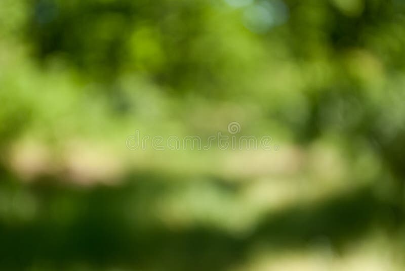 Blurred Background Greenery Foliage Stock Photos - Download 5,231 ...