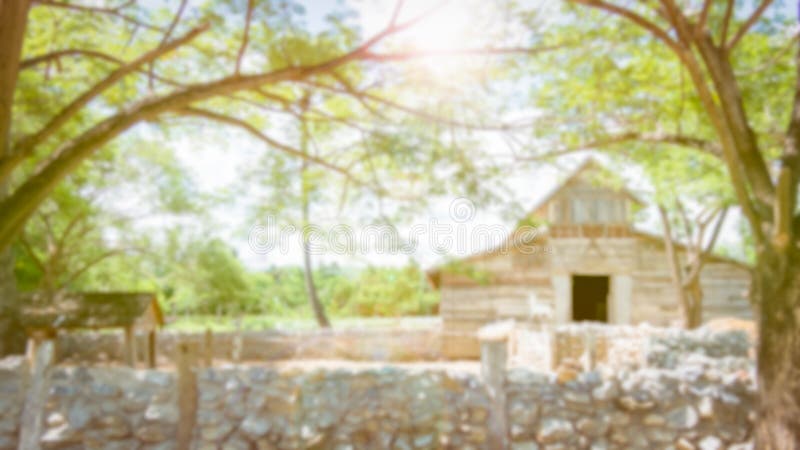 Blurred Background Horses Farm Stock Photo - Image of meadow, outdoor ...