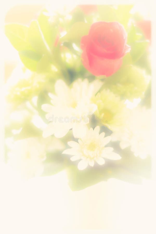 Blurred Background of Sweet Flower Stock Image - Image of pink, foliage ...