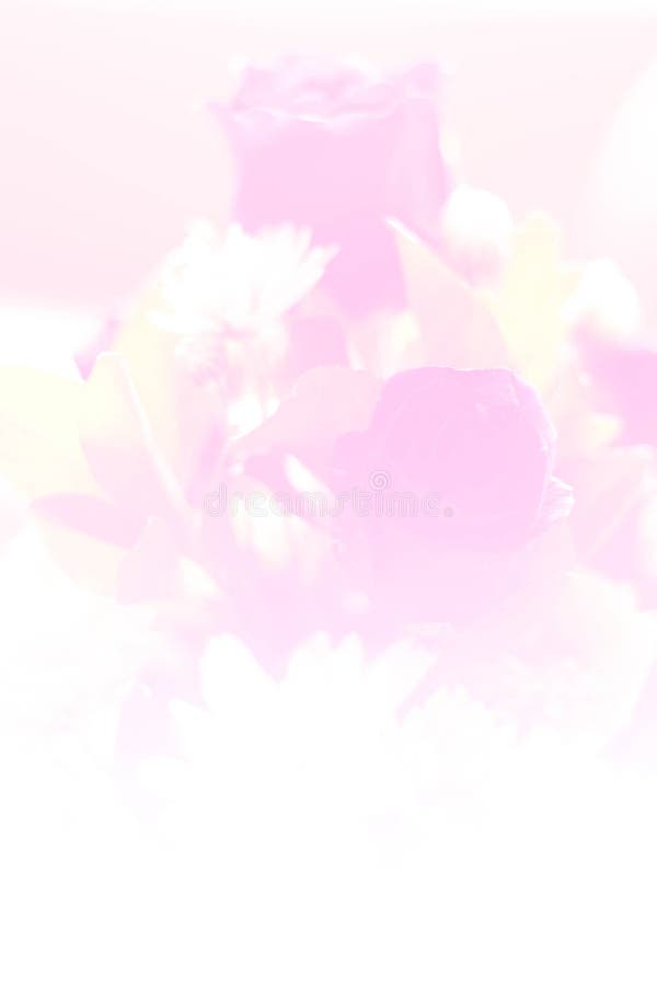 Blurred Background of Sweet Flower Stock Photo - Image of abstract ...