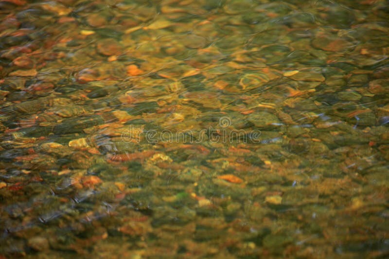 Blurred Background and Texture of the River Pod. the Bottom of the ...